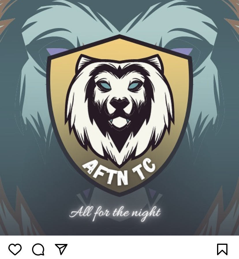 La nouvelle asso TC Corp's - IUT Tech de Co Toulouse